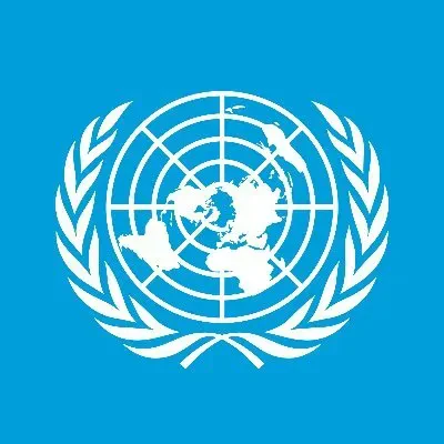 United Nations Digital Platform Teardown | Global Governance Analysis ...