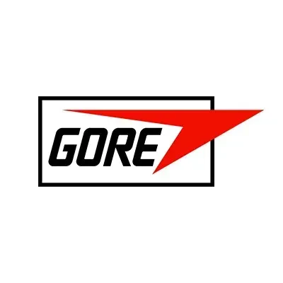 Gore Product Strategy Guide | Transformation Roadmap - NextSprints