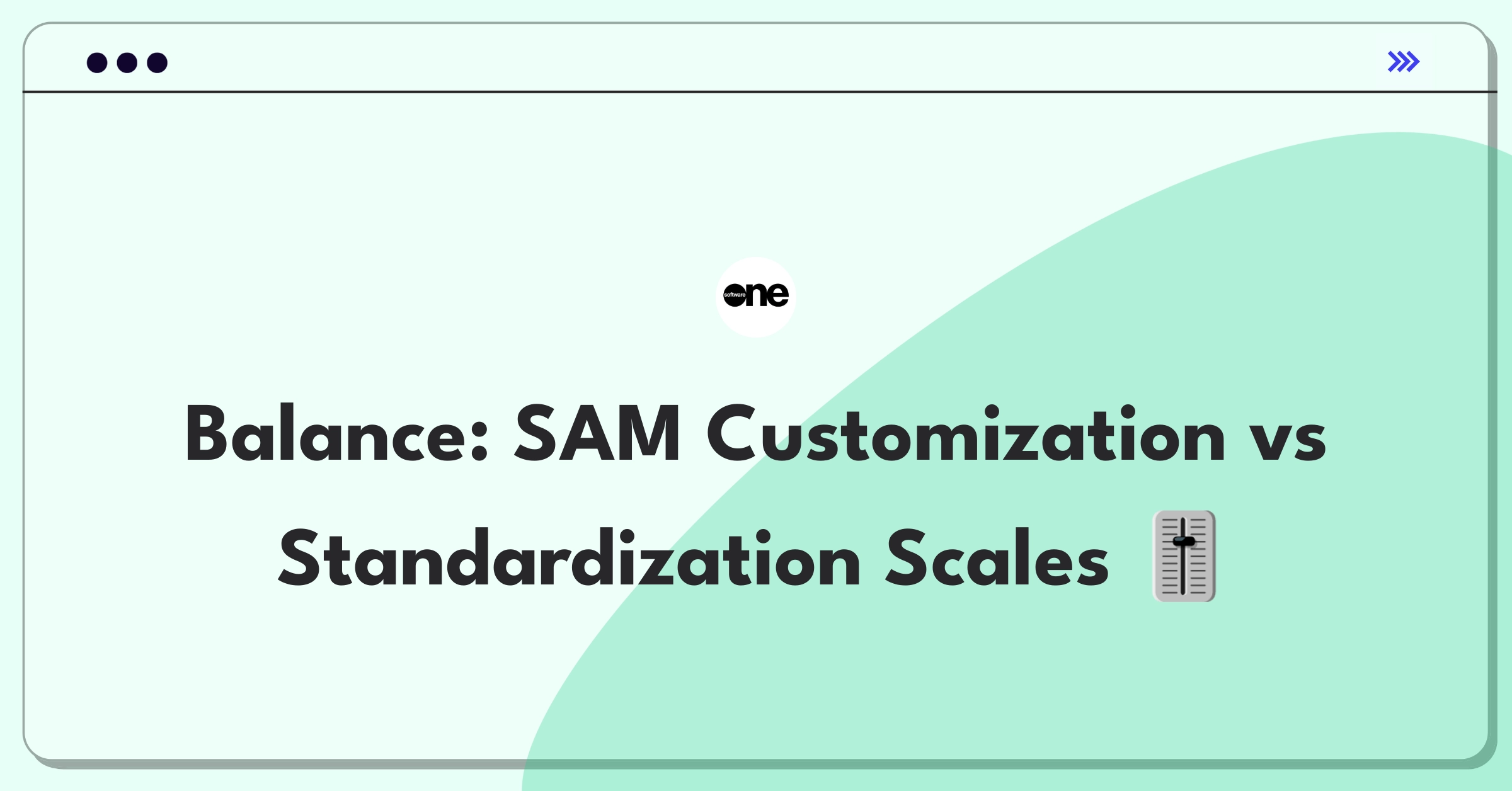 Softwareone Sam Customization Vs Standardization Trade Off Case Nextsprints