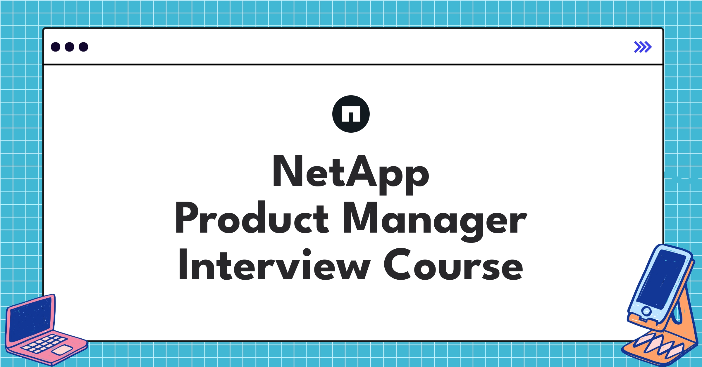 NetApp Product Manager Interview Preparation: Practice Questions, Case Studies & Strategies ...