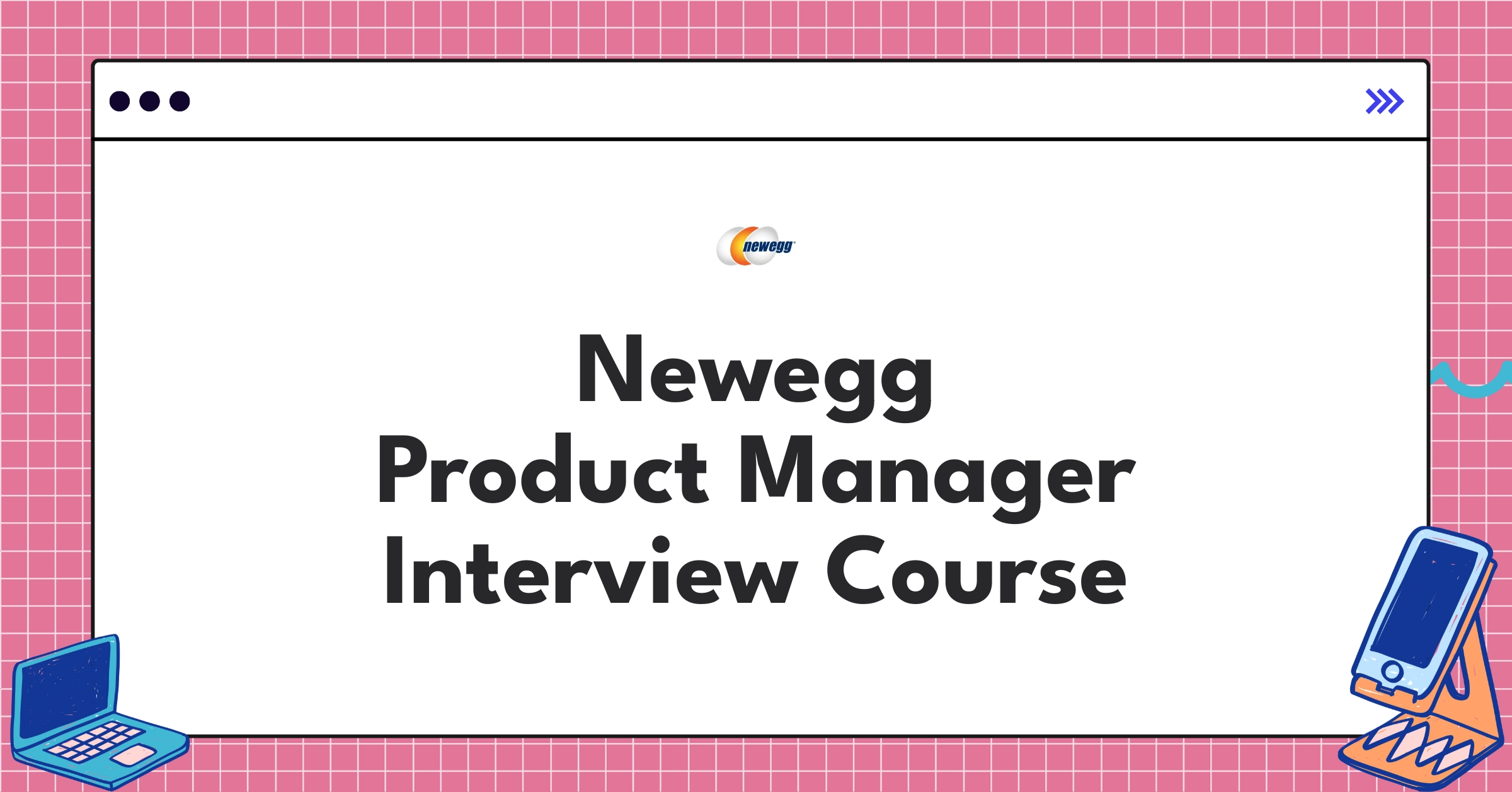 Newegg Product Manager Interview Preparation: Practice Questions, Case Studies & Strategies ...